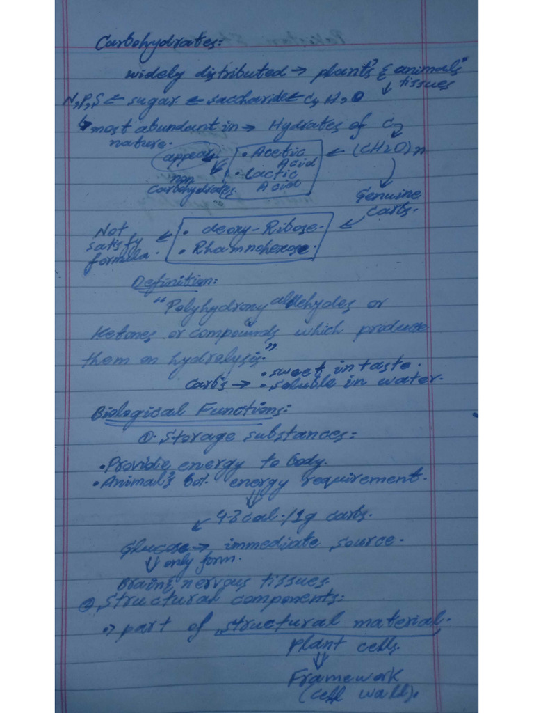 Biochemistry Mind Map! | PDF