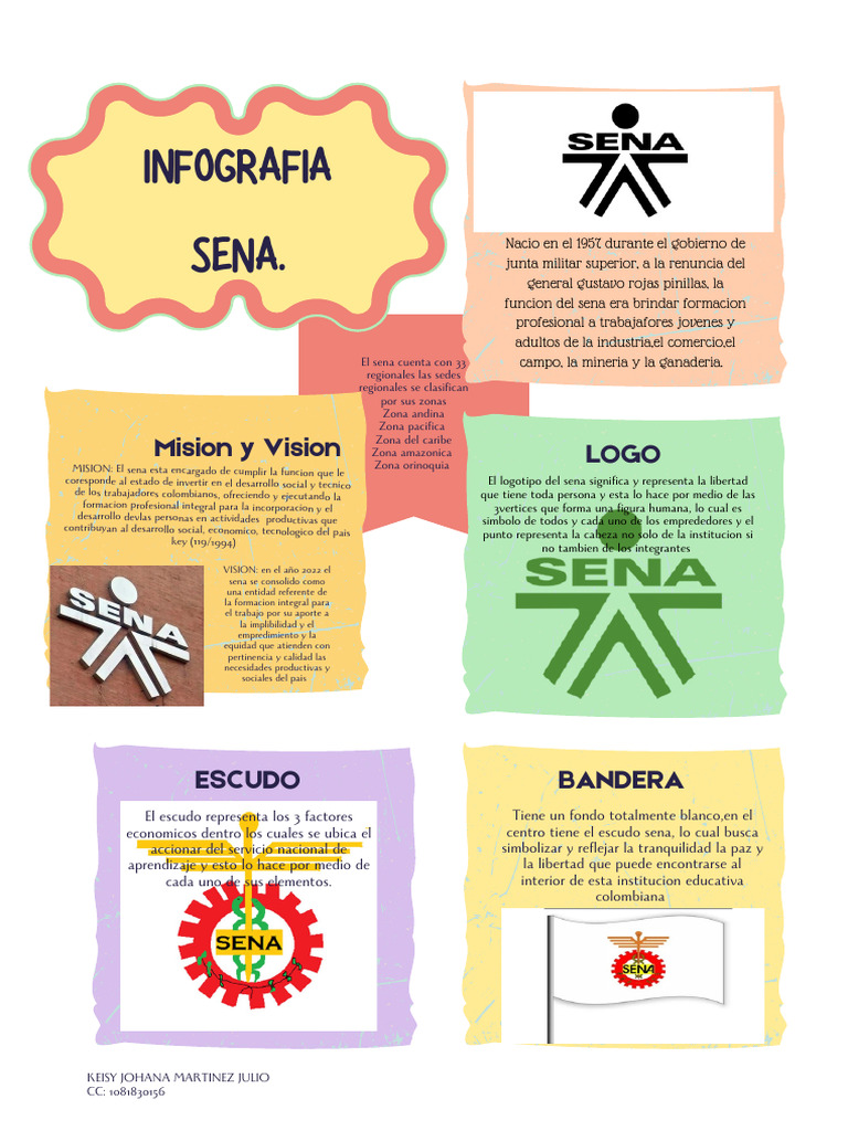 Infografia Sena | PDF