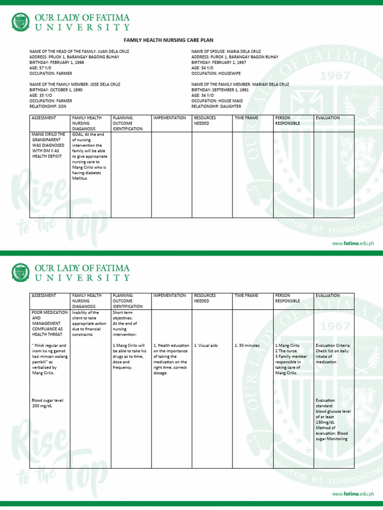 Sample Family Health Nursing Care Plan | Download Free PDF | Causes Of ...