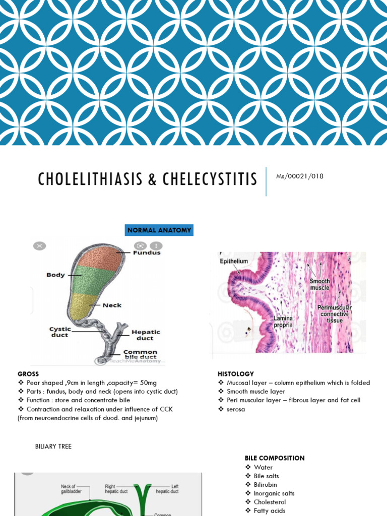 Cholelithiasis & Chelecystitis 1 | PDF | Gallbladder | Bile