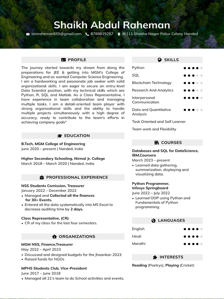 Shaikh Abdul Raheman: Profile Skills | PDF | Computing | Information Technology
