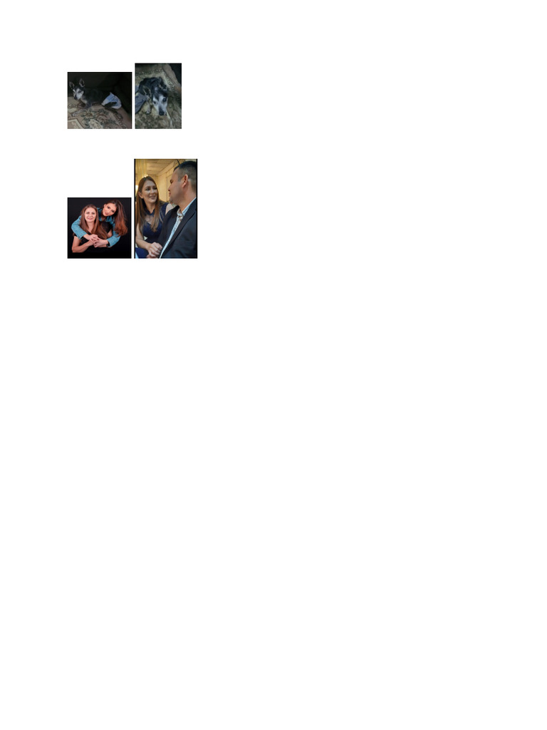 Documento Sem Título | PDF