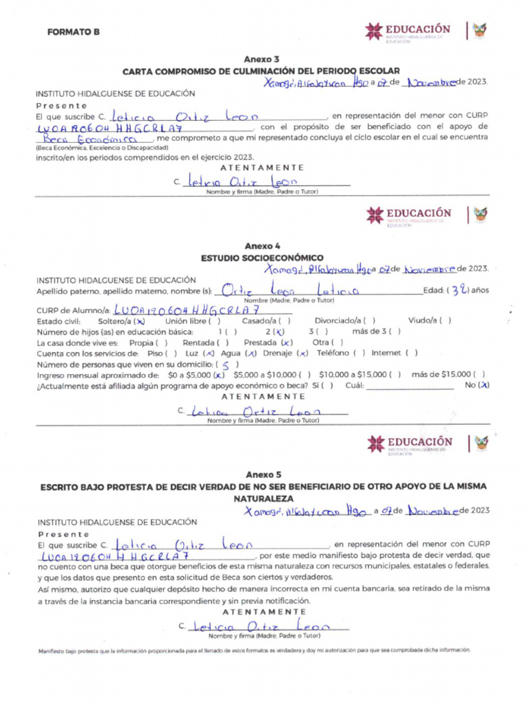 Formato B Alexis | PDF