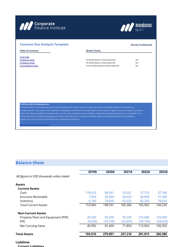 Different Balance Sheet Layouts | PDF | Equity (Finance) | Balance Sheet