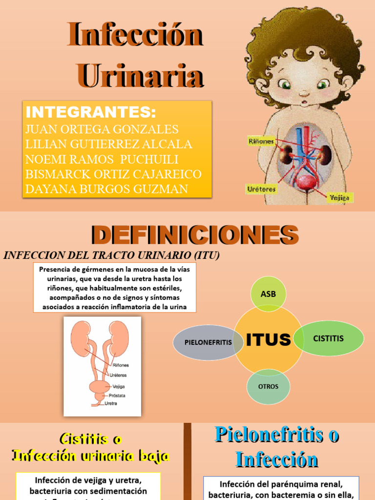 Infección Urinaria: Tipos y Epidemiología | PDF | Infección del tracto ...