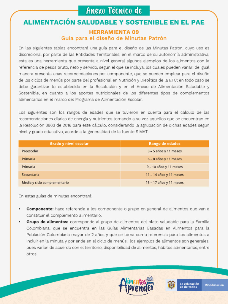 Herramienta 09. Guía para El Diseño de Minutas | PDF