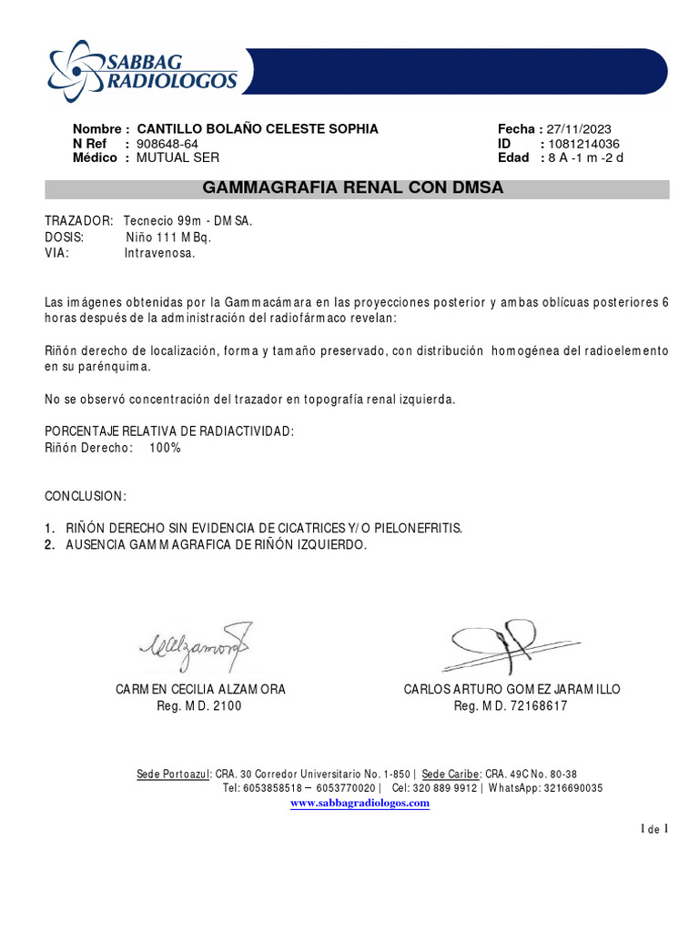Gammagrafia Renal Con Dmsa | PDF