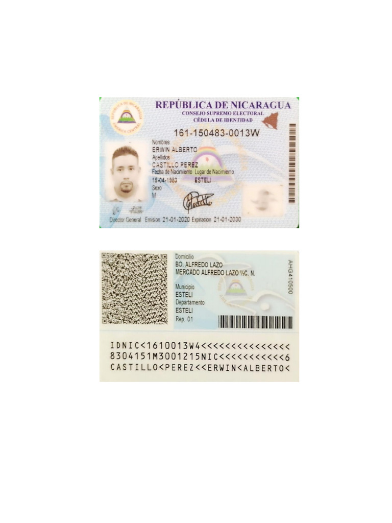 CI Erwin Alberto Castillo | PDF