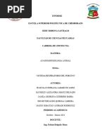 Disección del Muslo de Pollo: Anatomía y Función | PDF | Articulación ...