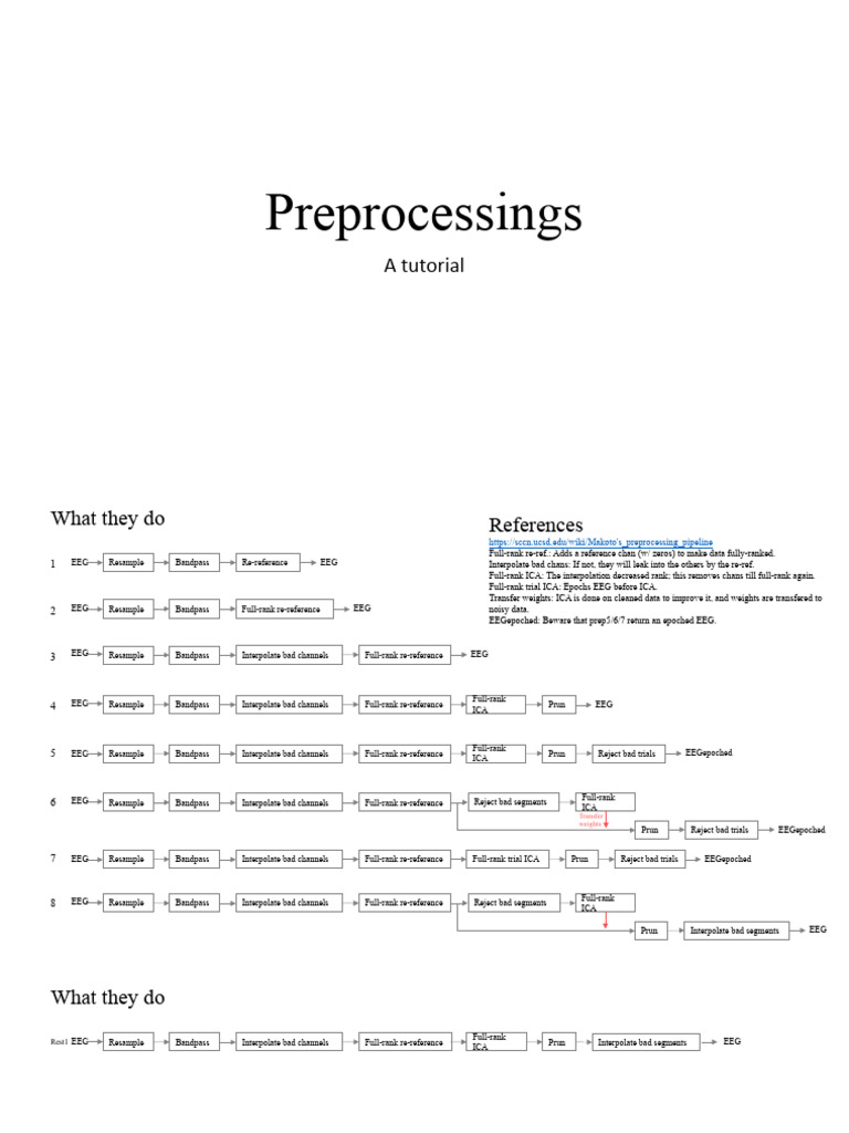 Presentation of MATLAB EEG Pre-Processing Pipelines | PDF | Computer Science | Applied Mathematics