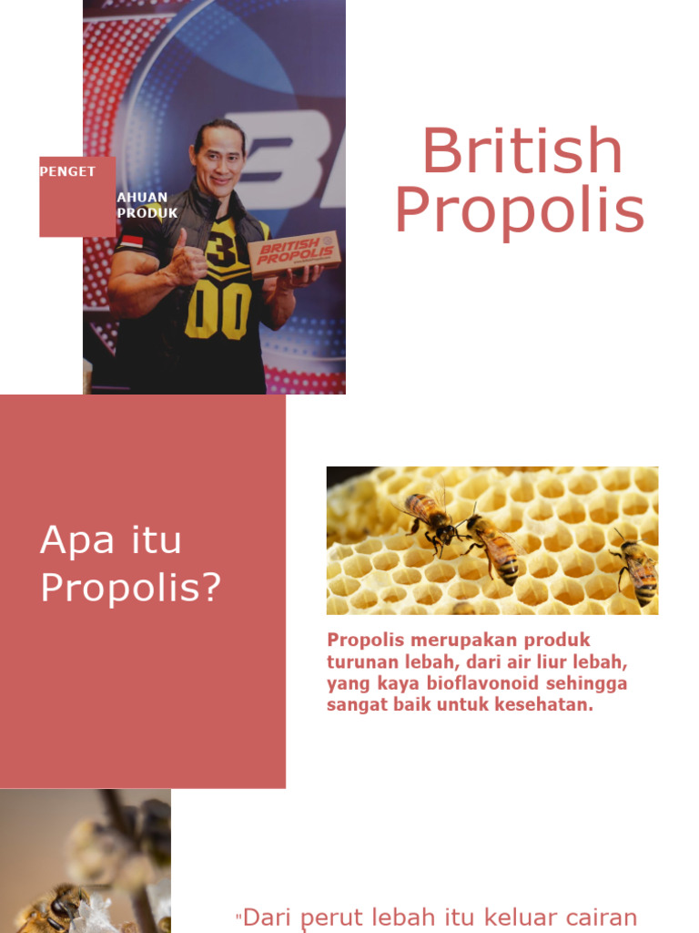 Brosur British Propolis | PDF