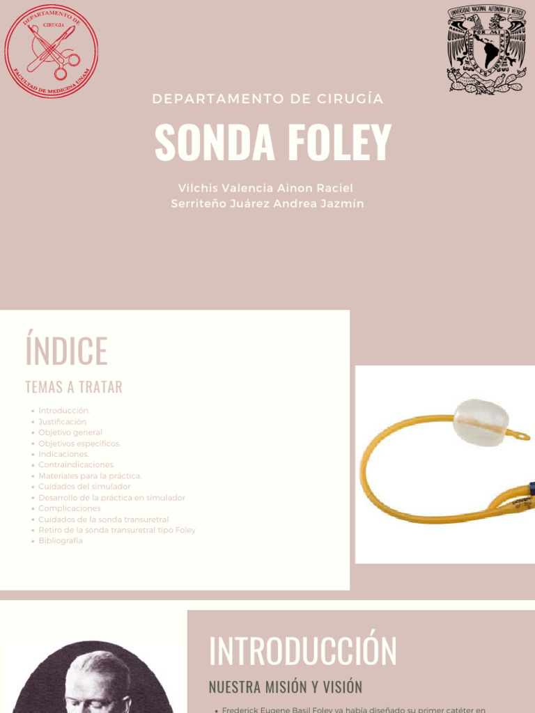 Sonda Foley Presentacion | PDF | Labios | Lavado de manos