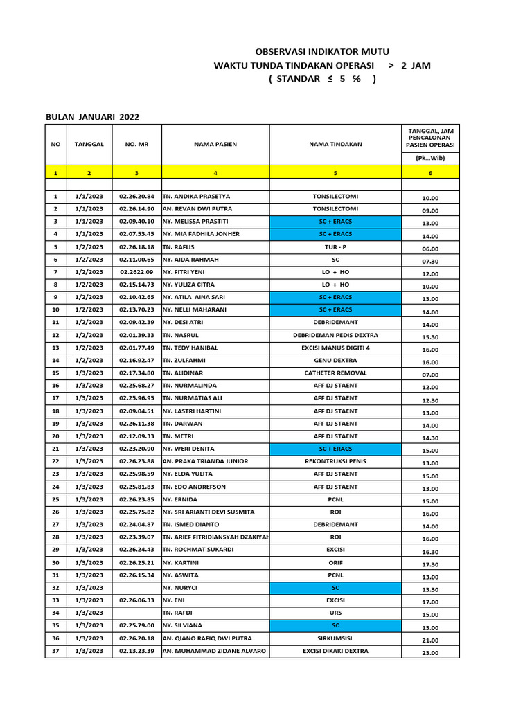 Waktu Tunggu Operasi Elektif 2023 | PDF