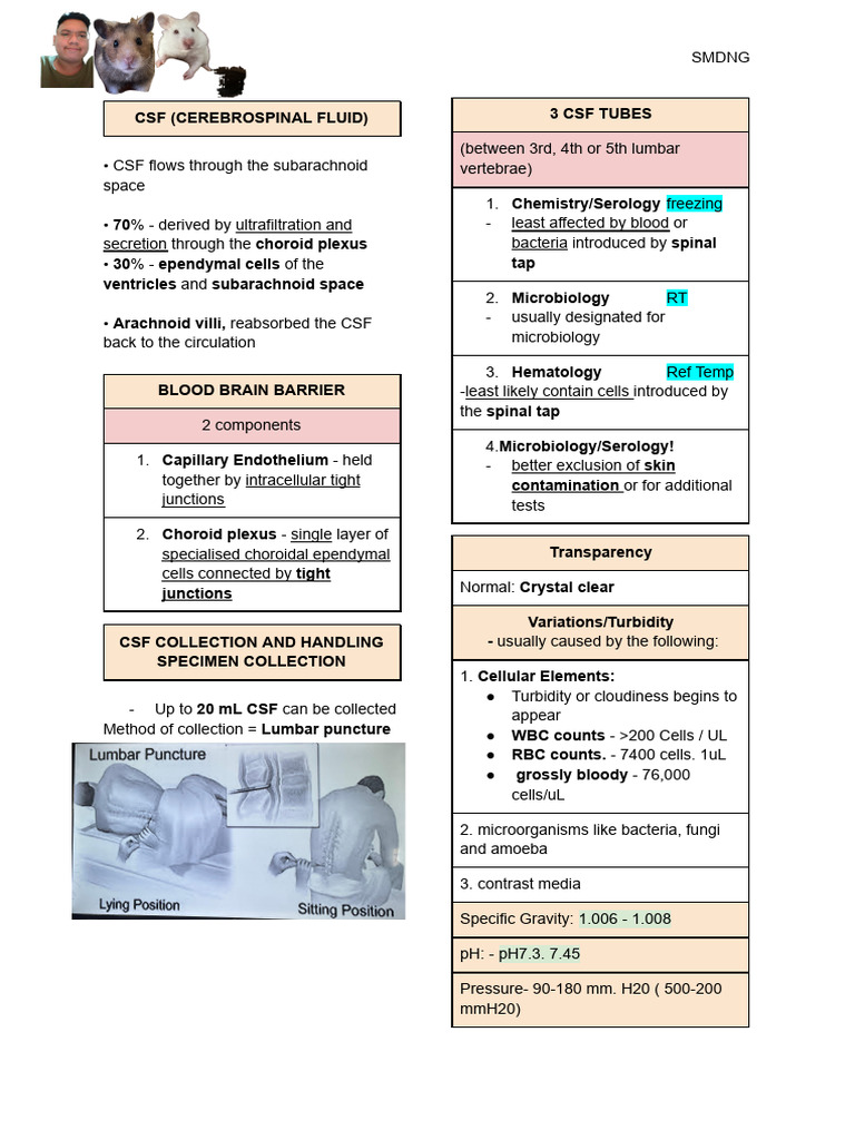 AUBF | PDF | Cerebrospinal Fluid | Semen