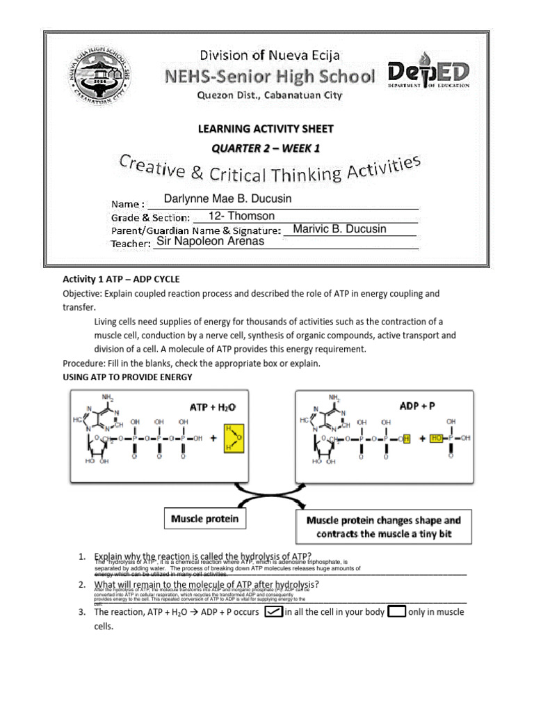 Edited Activity 1 8 | PDF | Adenosine Triphosphate | Adenosine Diphosphate