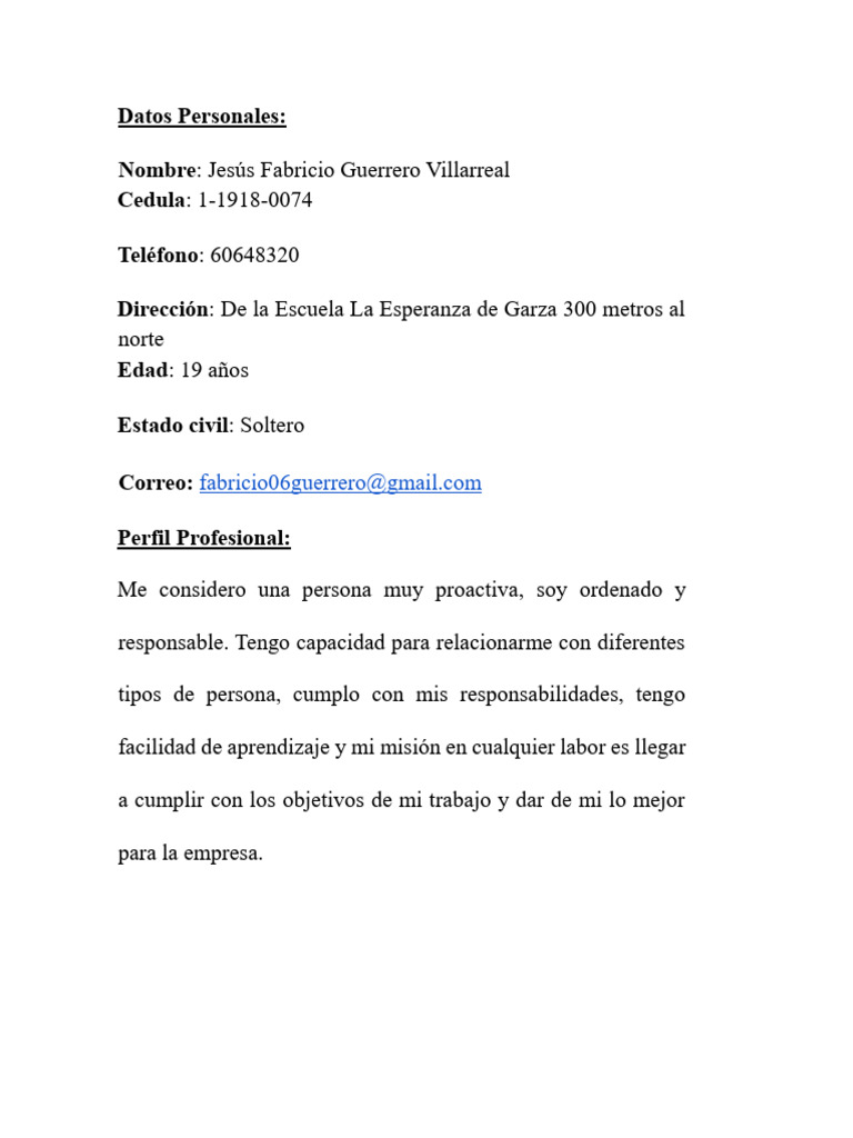 Curriculum Fabricio Guerrero | PDF | Business | Plan de estudios