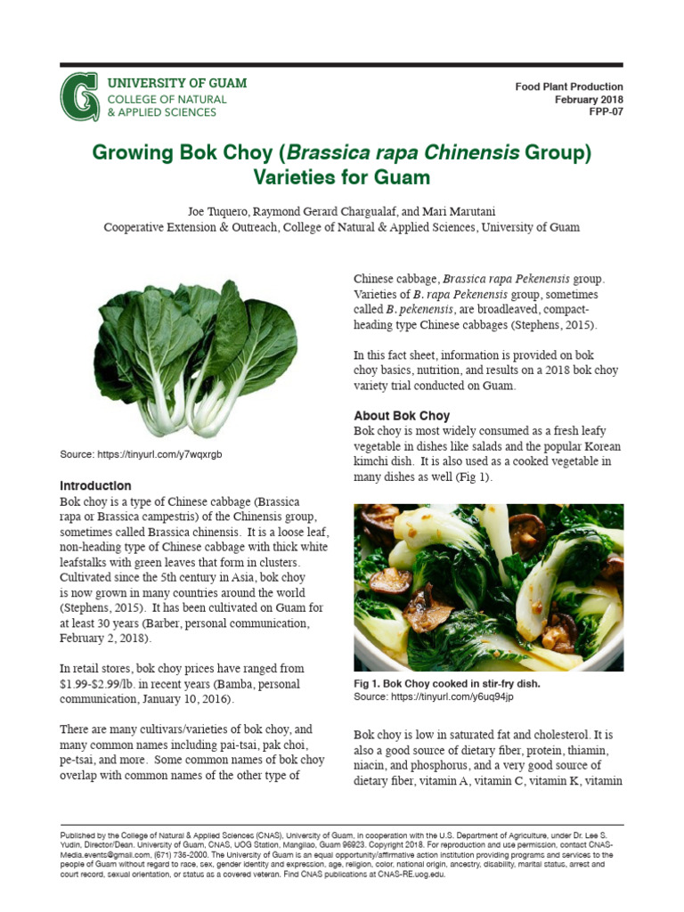 Bok Choy | PDF | Cabbage | Agriculture