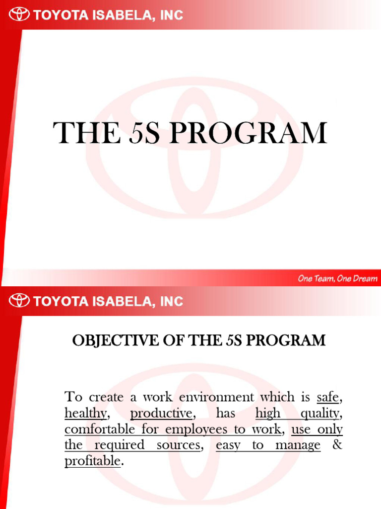 5S Program | PDF