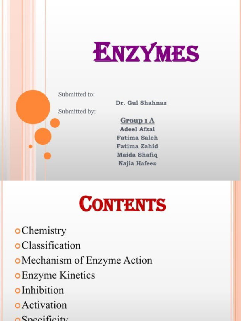 Enzymes Biochemistry | PDF