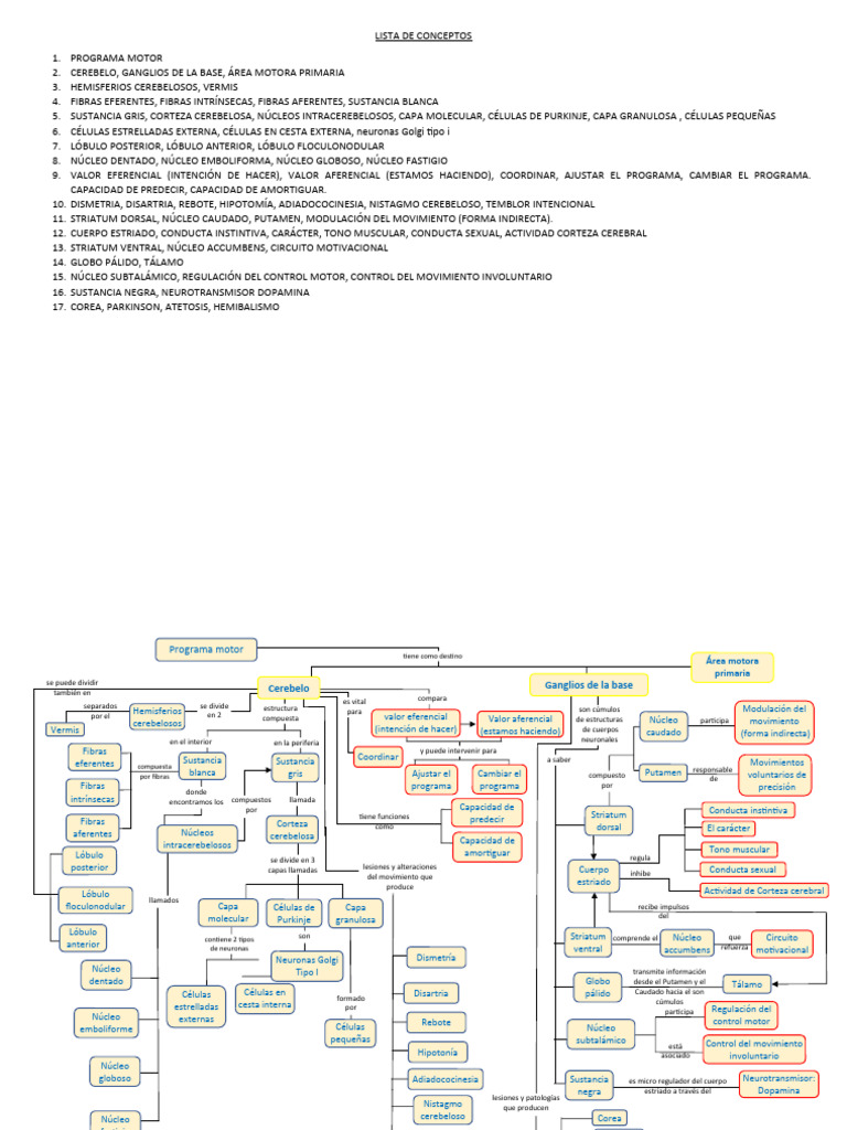 MAPA CONCEPTUAL 2 | PDF | Cerebelo | Ganglios basales