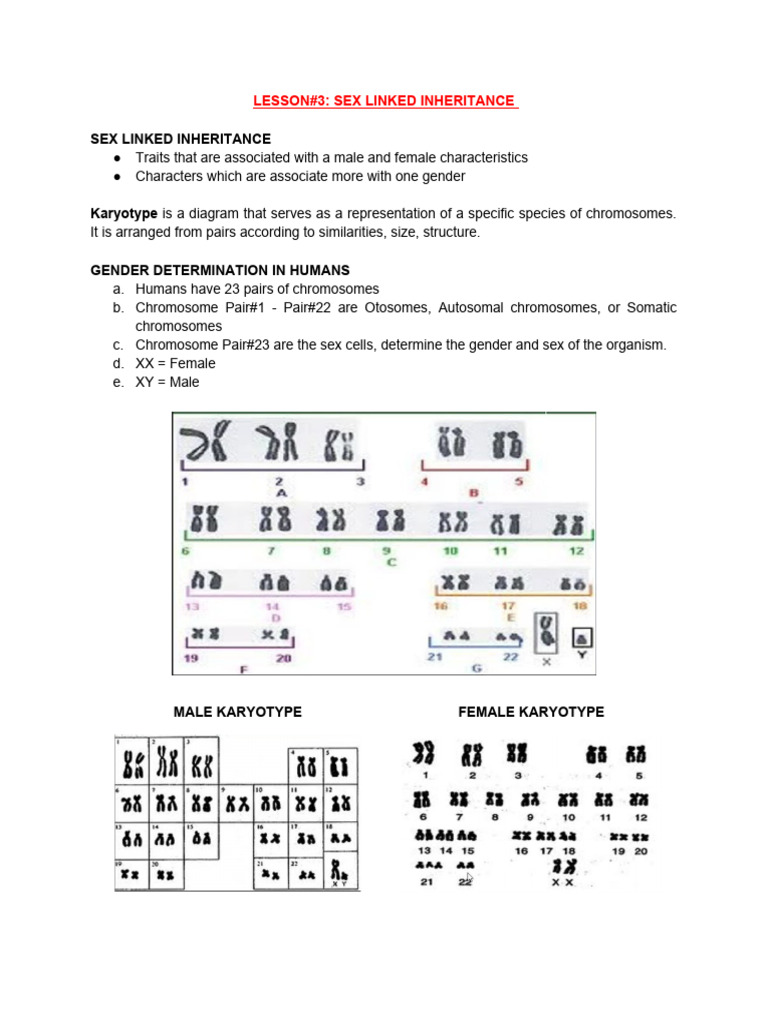 Lesson#3 - Sex Linked Inheritance | PDF | Dominance (Genetics) | Karyotype