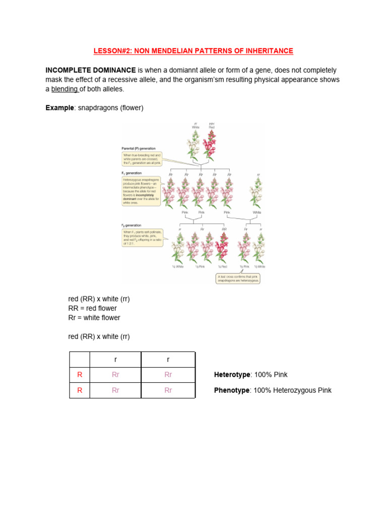Lesson#2 - Non Mendelian Patterns of Inheritance | PDF | Dominance (Genetics) | Allele