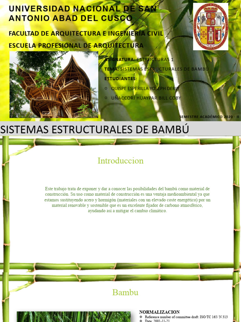 Completo Expo Bambú... | PDF | Ingeniería | Ingeniero civil