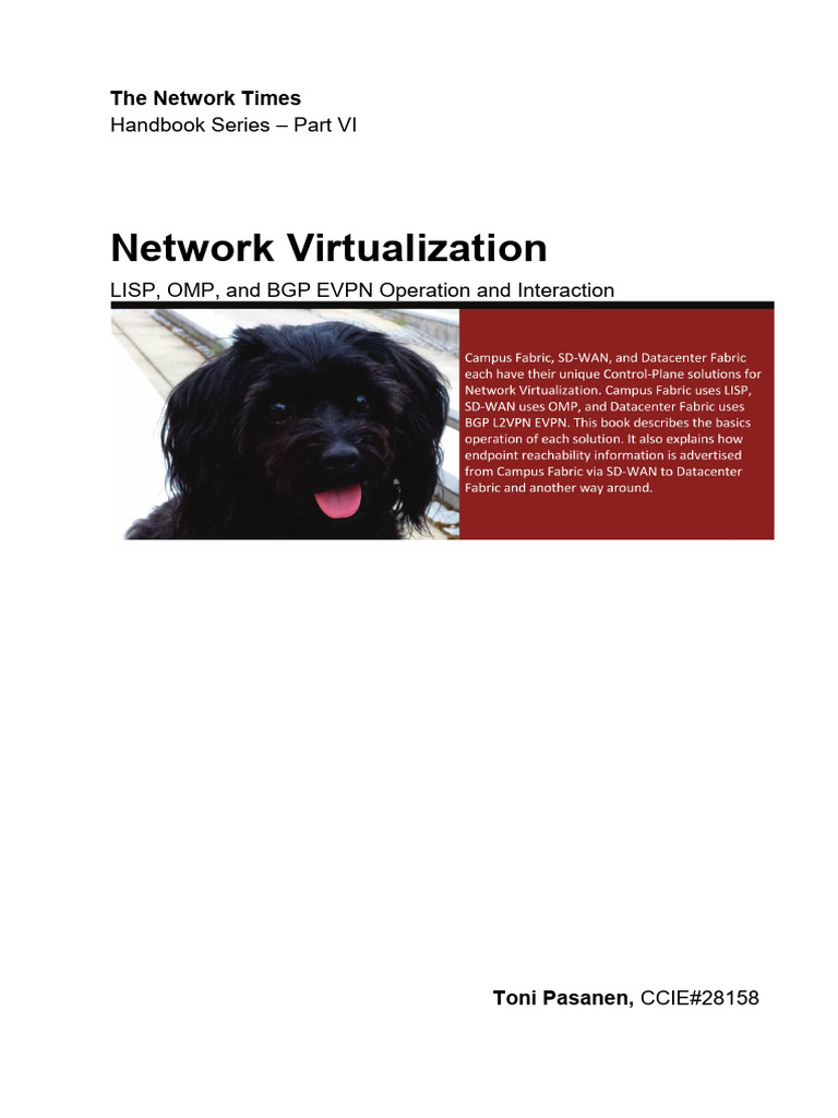 Network Virtualization LISP, OMP, and BGP EVPN Operation and Interaction Toni Pasanen | PDF ...
