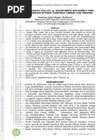 Green Skills Class 9 Notes | PDF | Environmental Degradation | Pollution