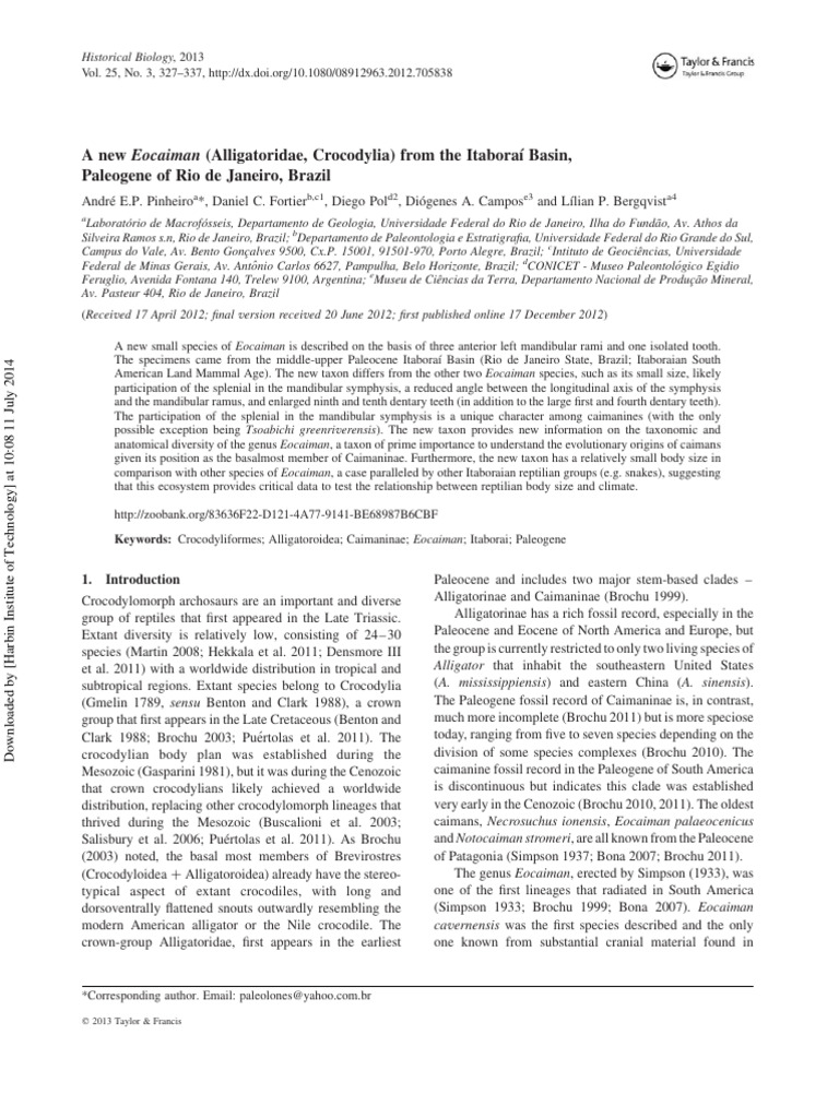 A New Eocaiman (Alligatoridae, Crocodylia) From The Itaboraí Basin ...
