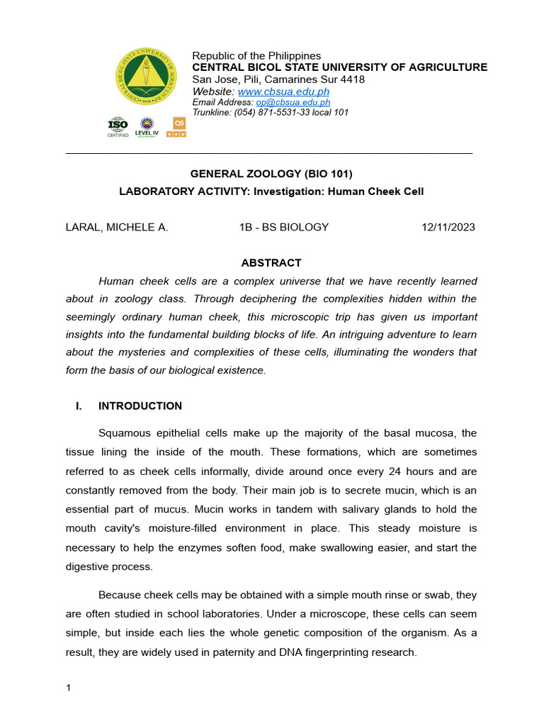 Observing Human Cheek Cells Experiment | PDF | Staining | Microscope