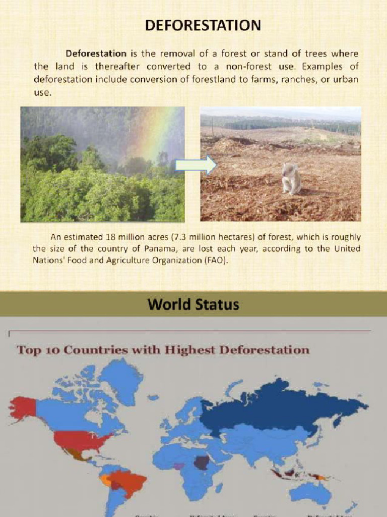 Deforestation | PDF