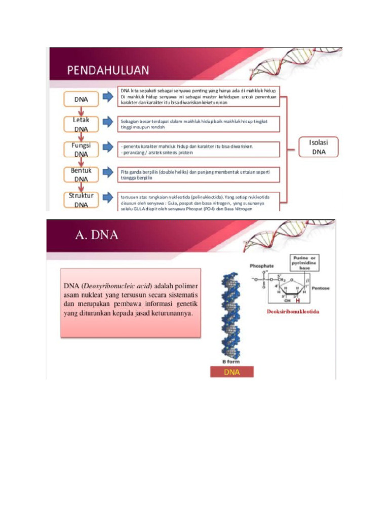 DNA Dan Cara Isolasi | PDF