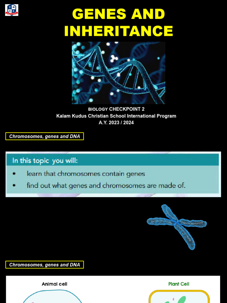 Genes and Inheritance | Download Free PDF | Gene | Chromosome