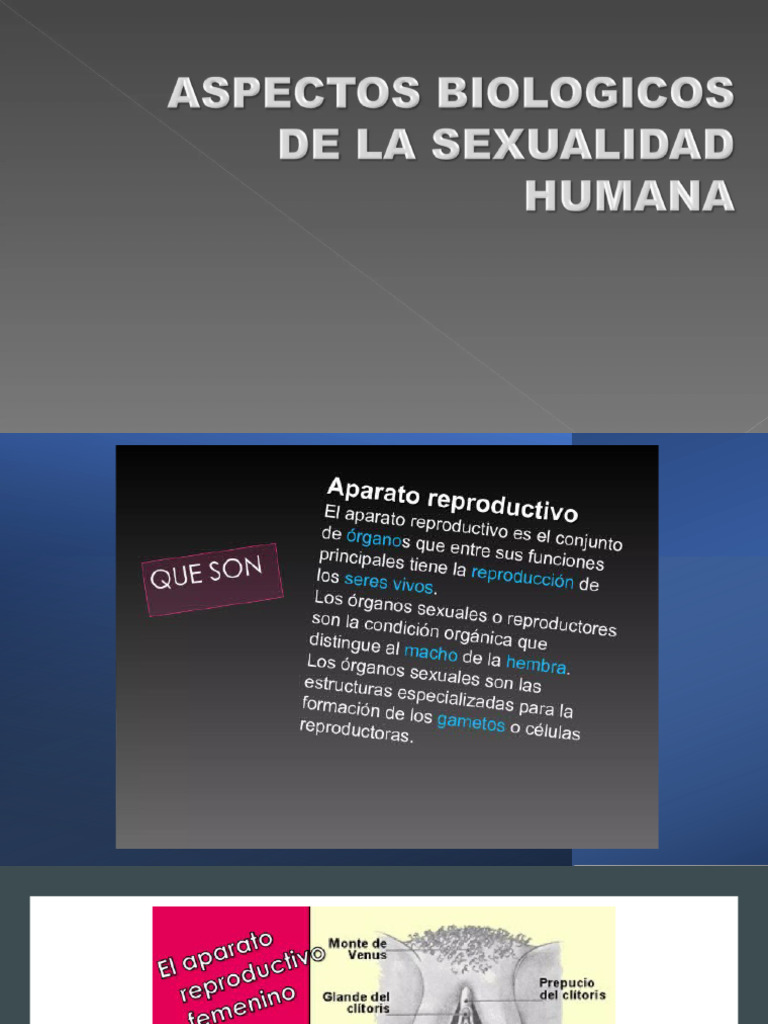 Aspectos Biologicos De La Sexualidad Pdf