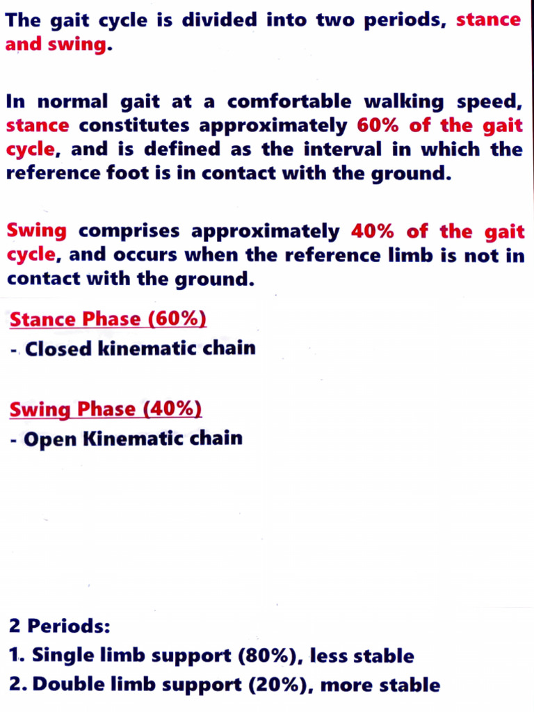 The Gait Cycle | PDF | Foot | Anatomical Terms Of Motion