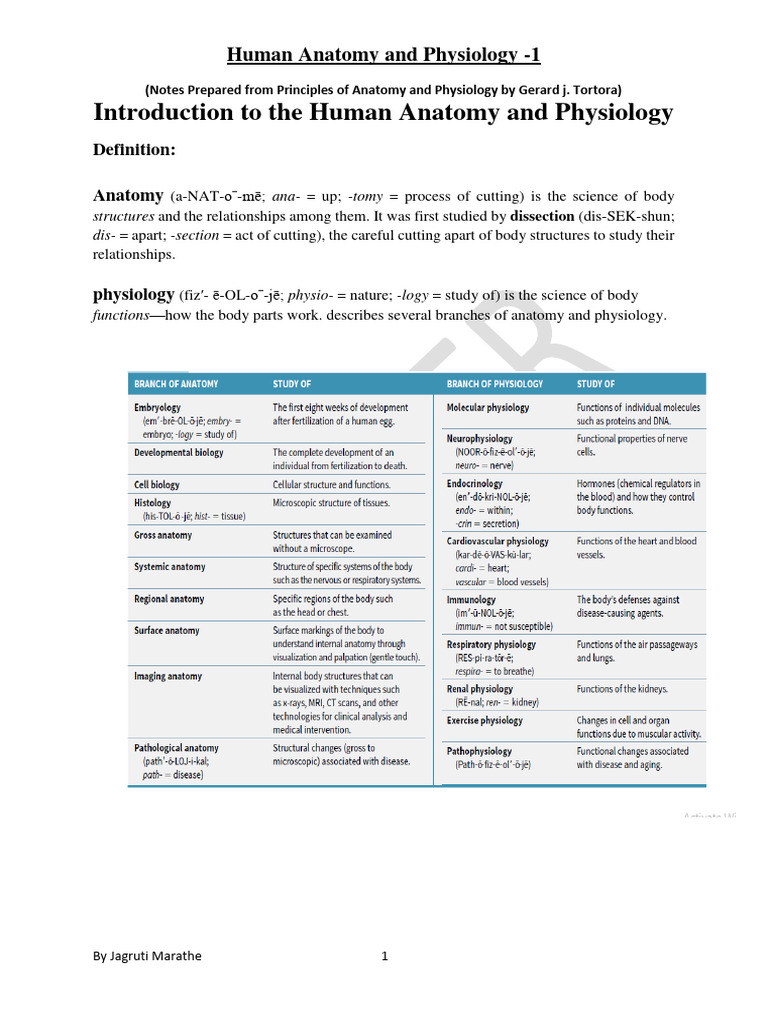 Introduction To The Human Anatomy and Physiology | PDF | Homeostasis ...