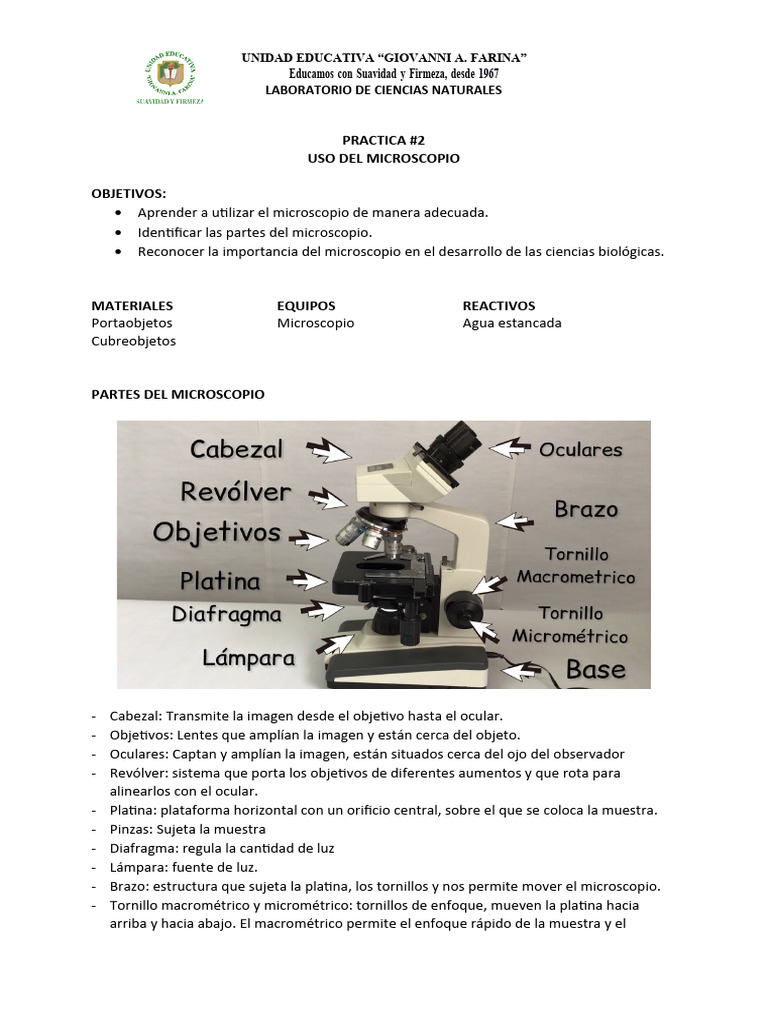 Uso Del Microscopio Practica de Lab | PDF | Microscopio | Laboratorios