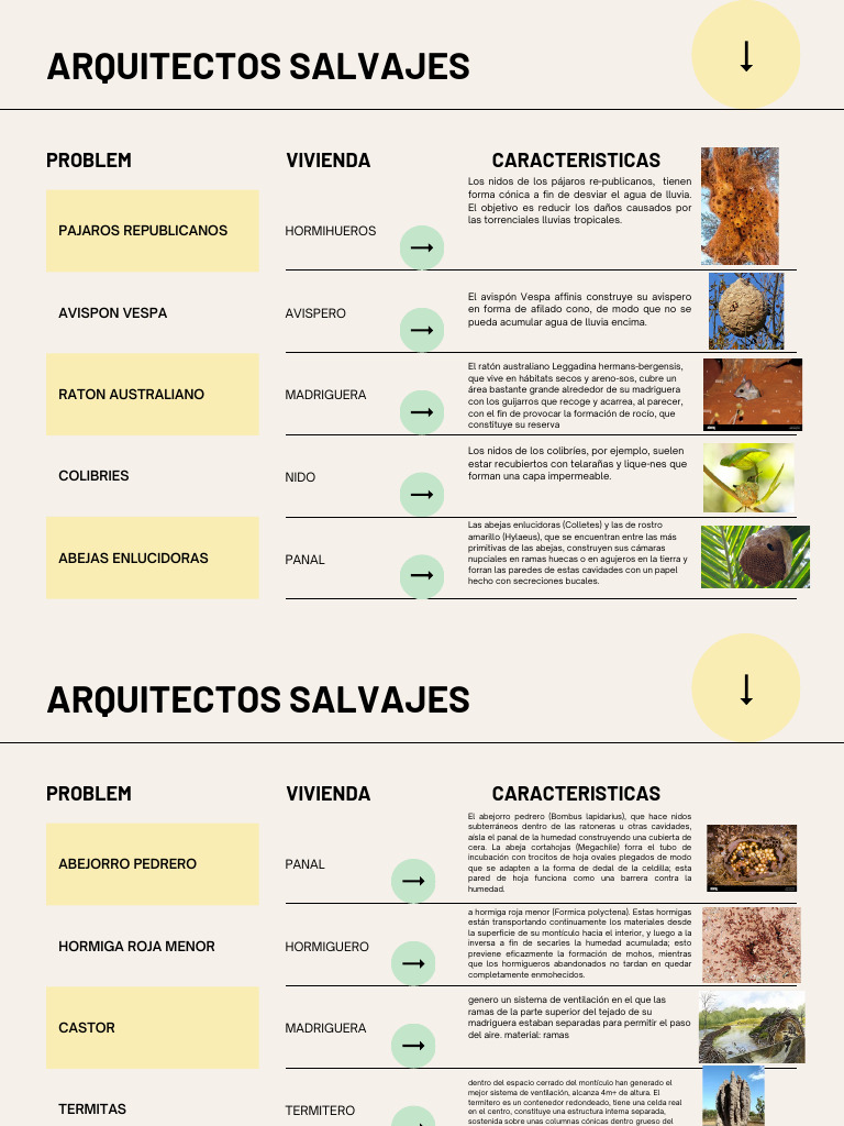 Beige Modern Business Problem and Solution Chart Graph | PDF | Abejas ...