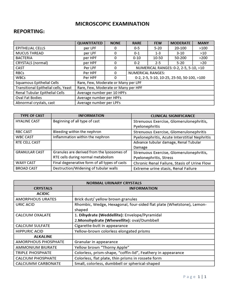 Microscopic Examination | PDF | Abdomen | Medical Specialties
