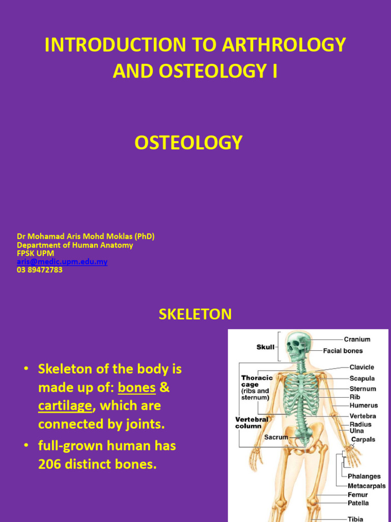 Introduction to Osteology and Arthrology | PDF | Cartilage | Bone
