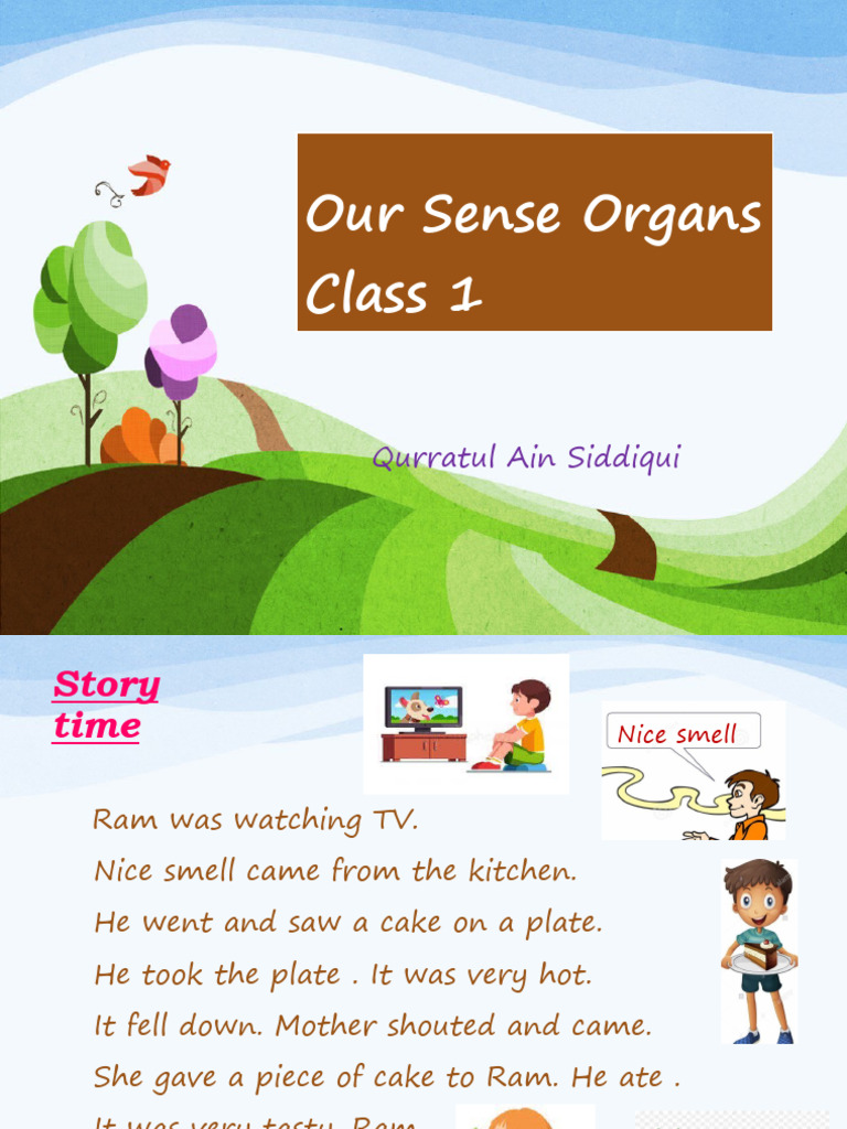 Class-1 Science PPT - Our Sense Organs | PDF | Taste | Senses