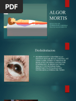 Fase Cromatica, Enfisematosa, Licuefactiva, Esqueletización y ...