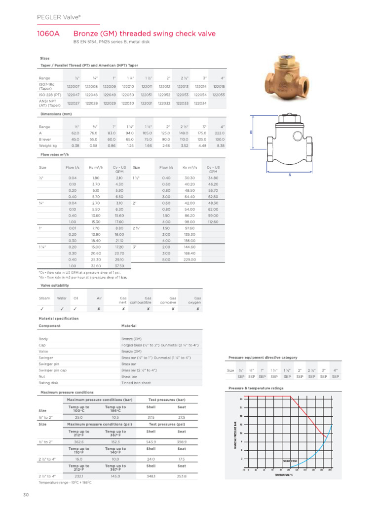 1060A Swing Check Valve | PDF