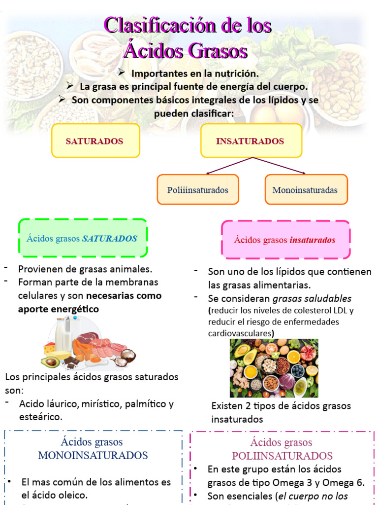 Clasificacion de Los Acidos Grasos | PDF