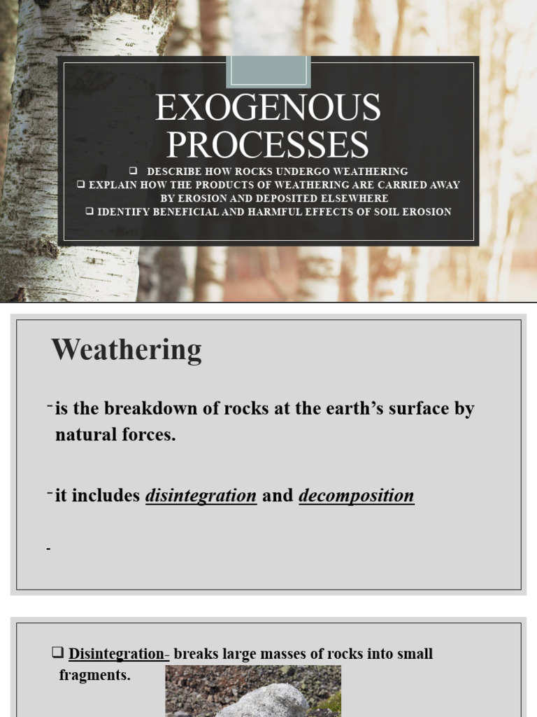 Exogenous Processes | PDF | Weathering | Erosion