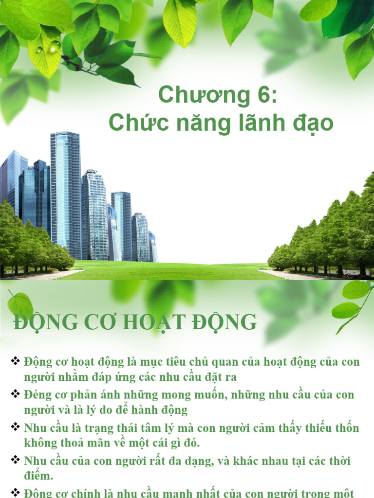 Chuong 6 Chuc Nang Lanh Dao | PDF