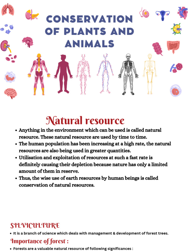 Conservation of Plants and Animals | PDF | Soil | Biodiversity