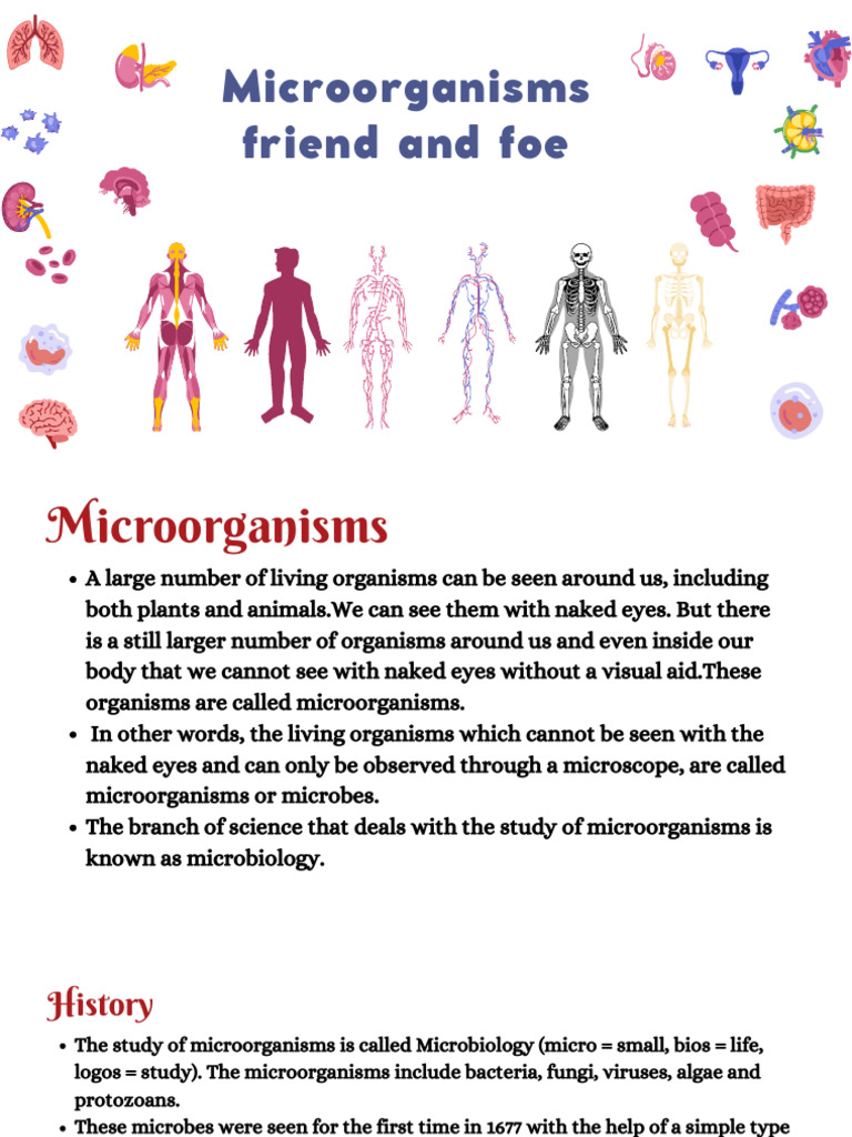 Microorganisms | PDF | Microorganism | Infection