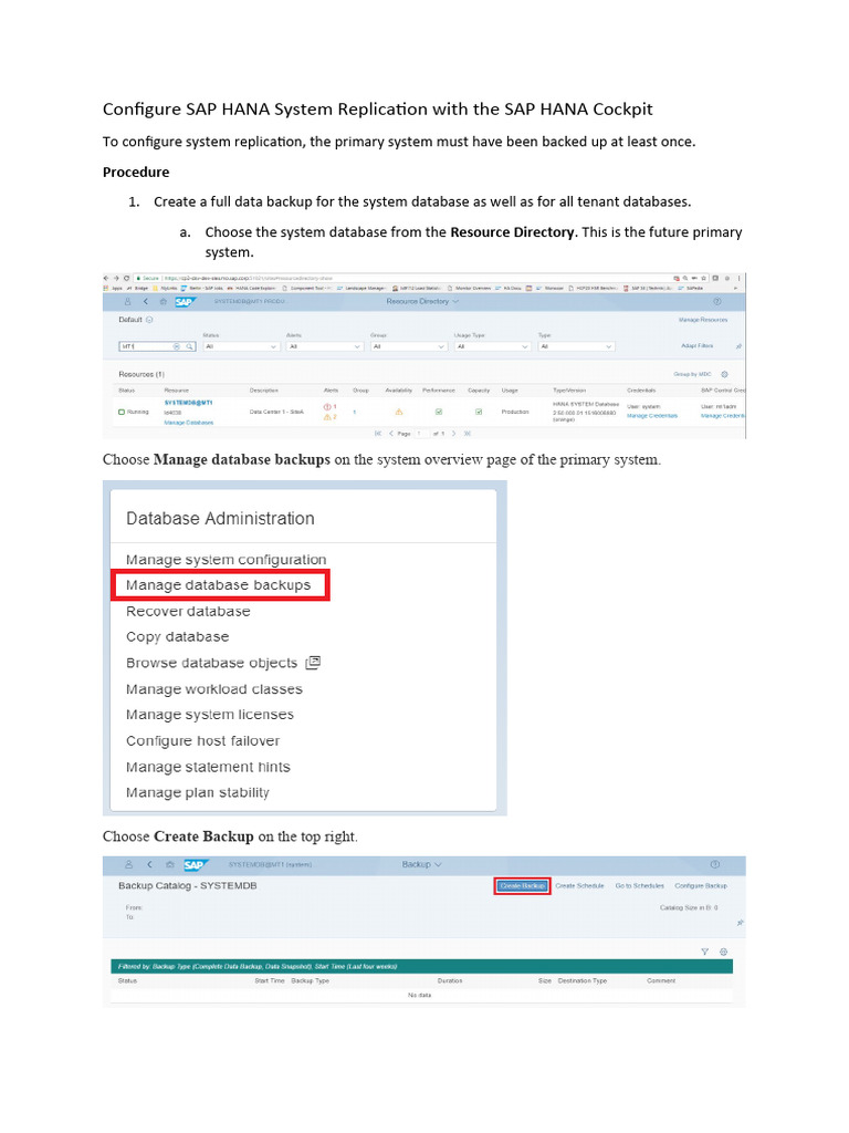 Configure SAP HANA System Replication With The SAP HANA Cockpit | PDF